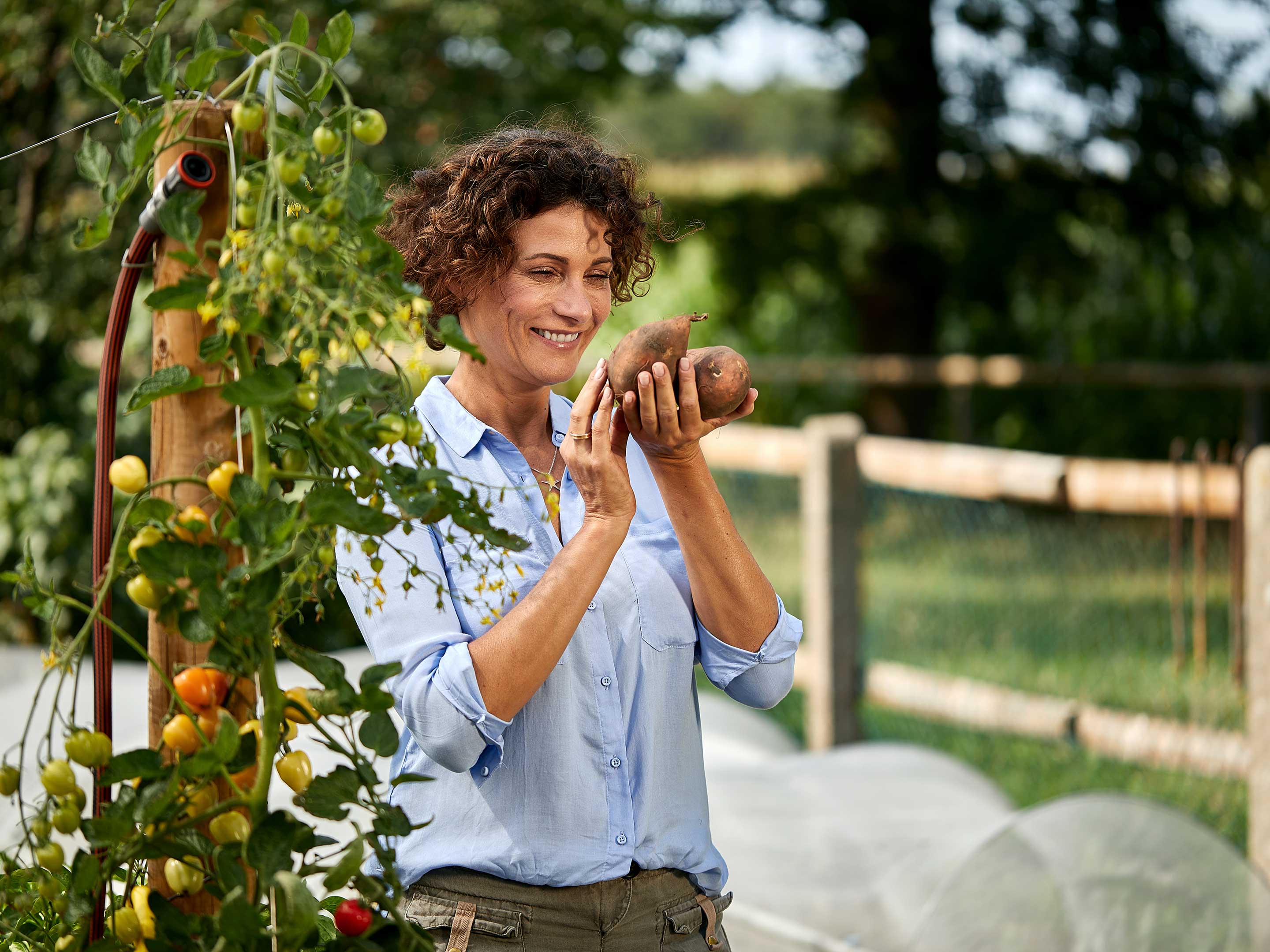 Regrow: Schritt für Schritt Gemüse nachwachsen lassen