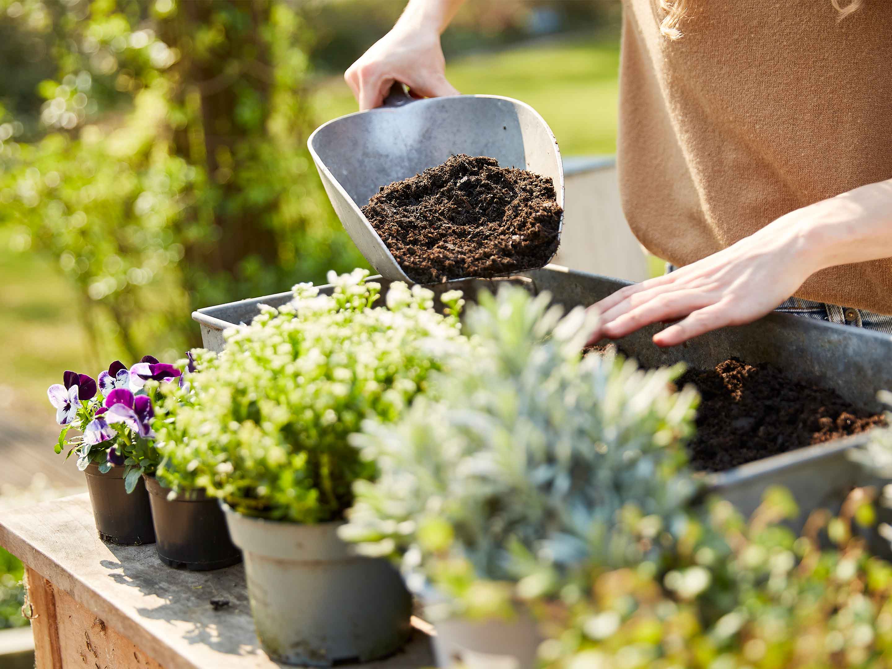 The easy way to plant properly | COMPO