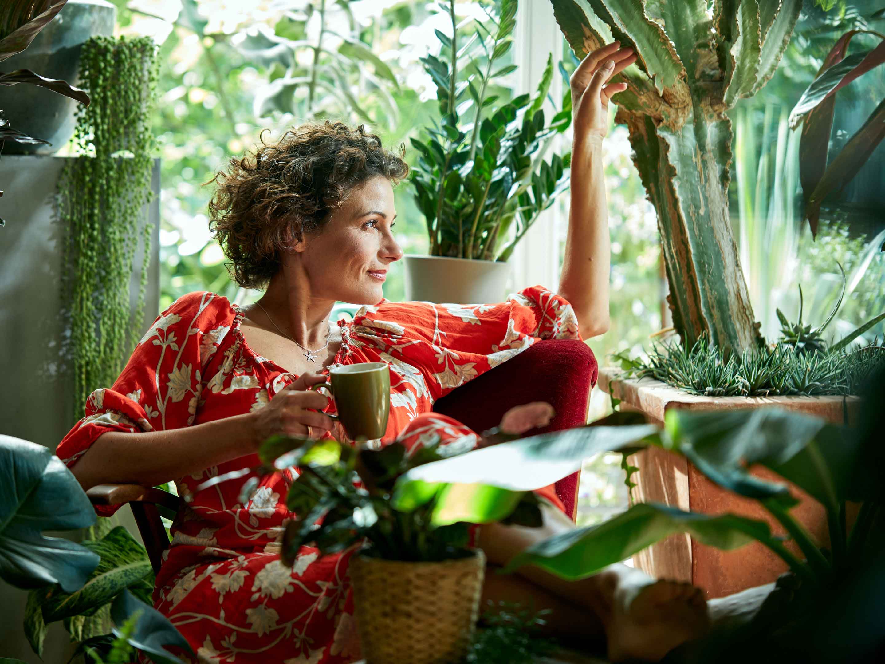 Piante da appartamento: rinvaso e concimazione