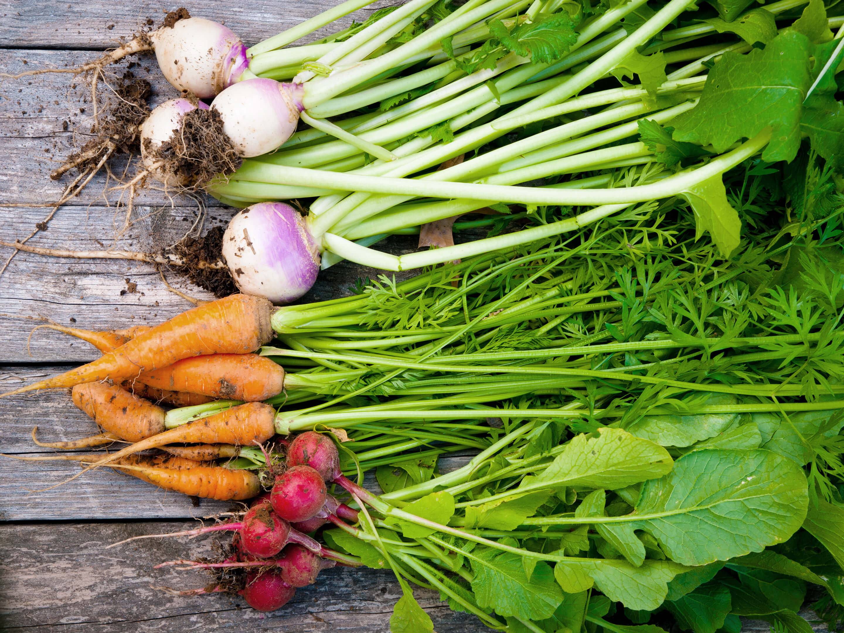 The vegetable harvest: When the time is finally right