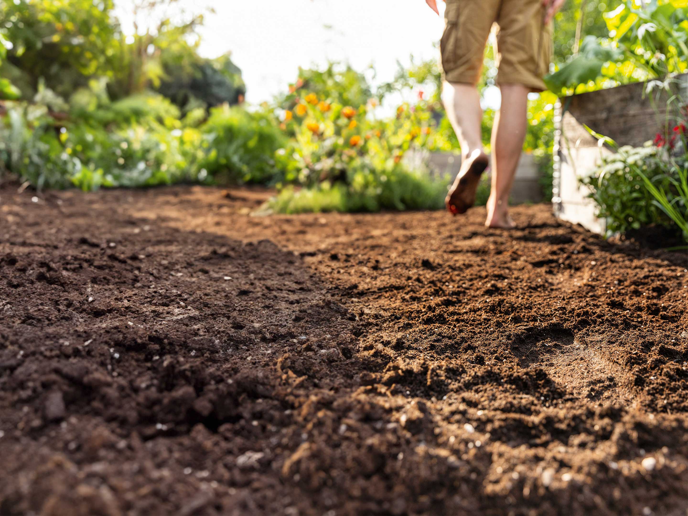 COMPO presents first sustainability declaration in accordance with the ...