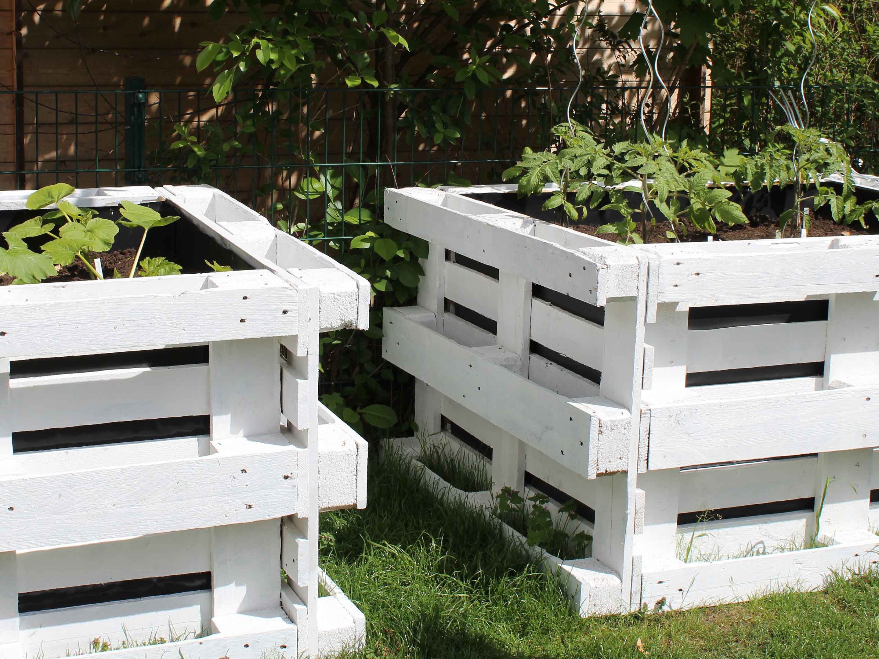 Moestuinbakken maken en beplanten
