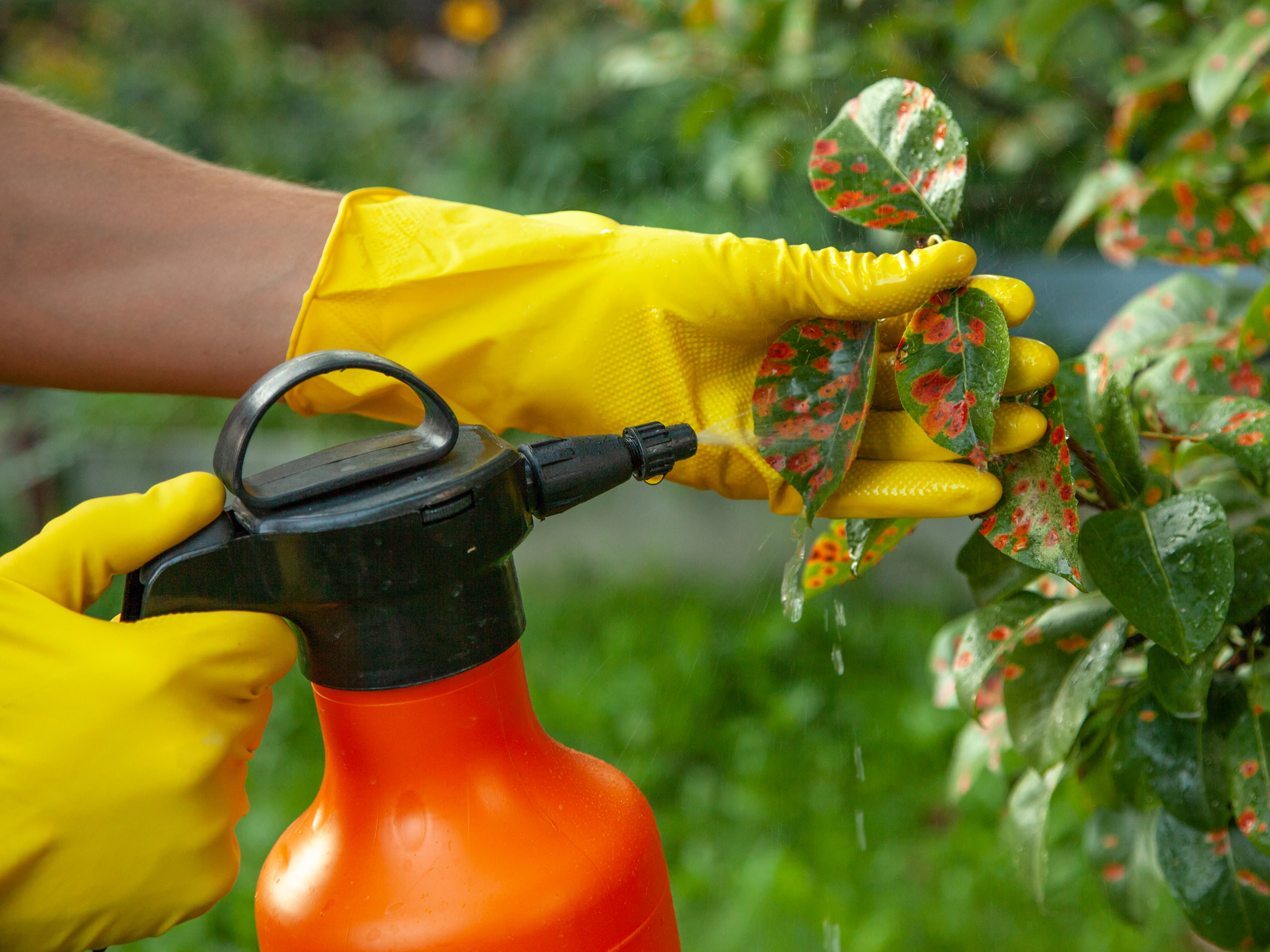 Bien manipuler les produits phytosanitaires