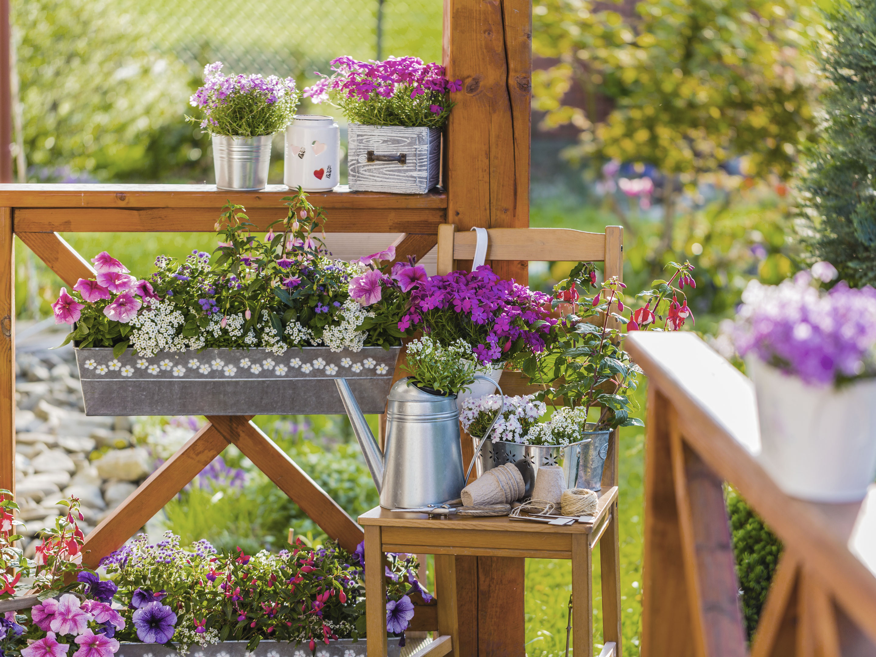 Le più belle piante da balcone per esposizioni soleggiate e in ombra