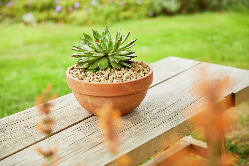 Besondere Produktinnovationen und -erfolge | COMPO Gruppe