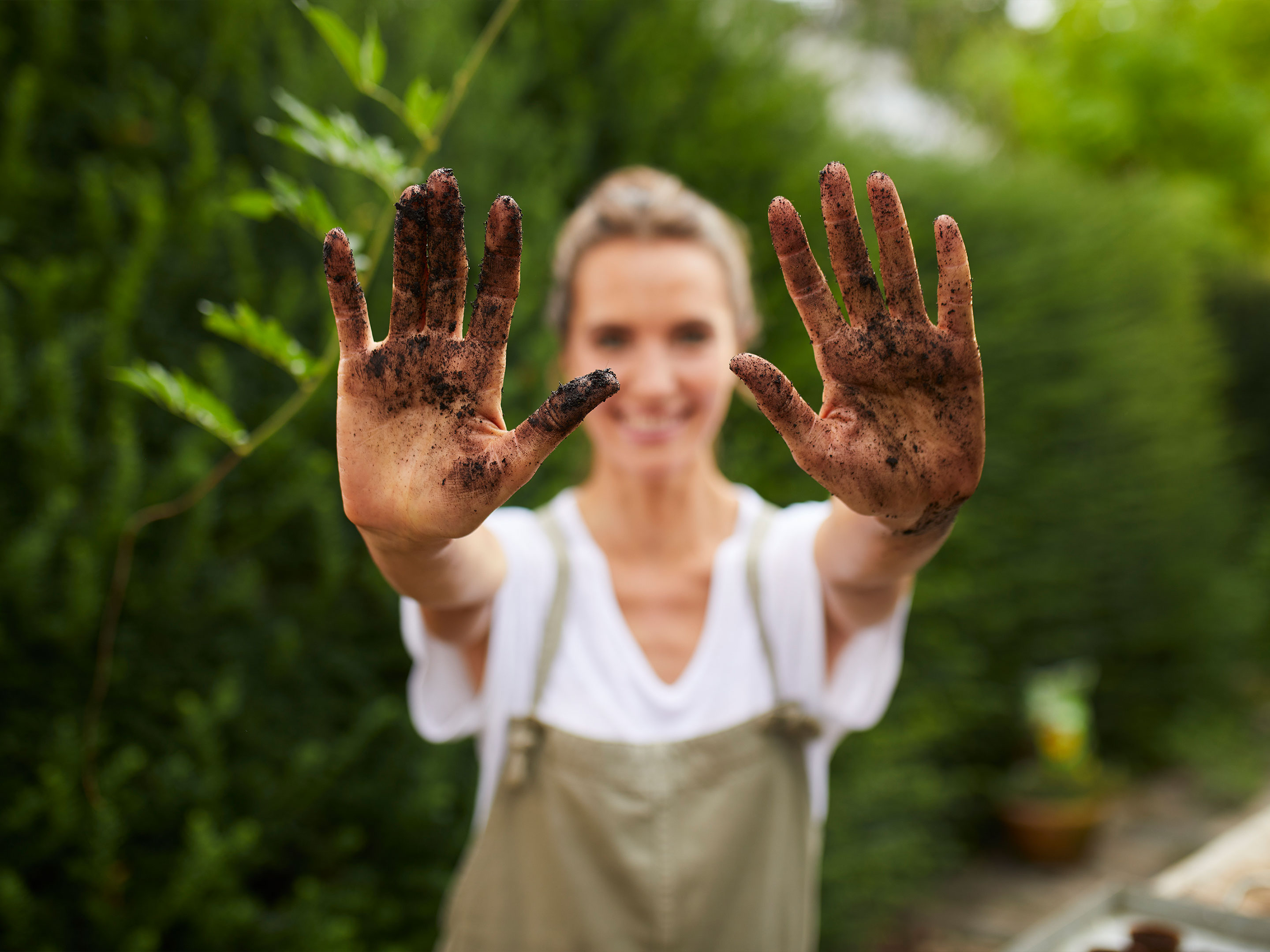 Voor elke plant een aangepaste potgrond